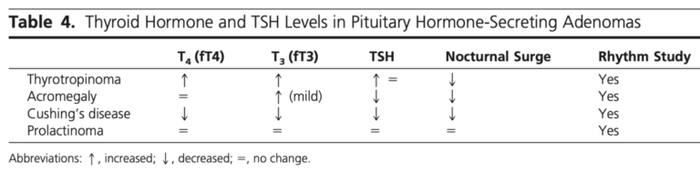 TSH｜ある内科医のまとめ